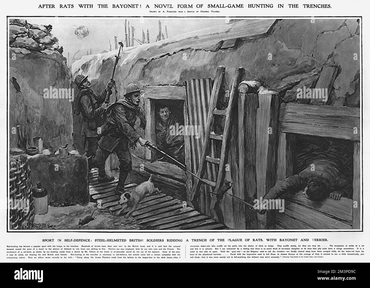 Trenches duckboards hi-res stock photography and images - Alamy