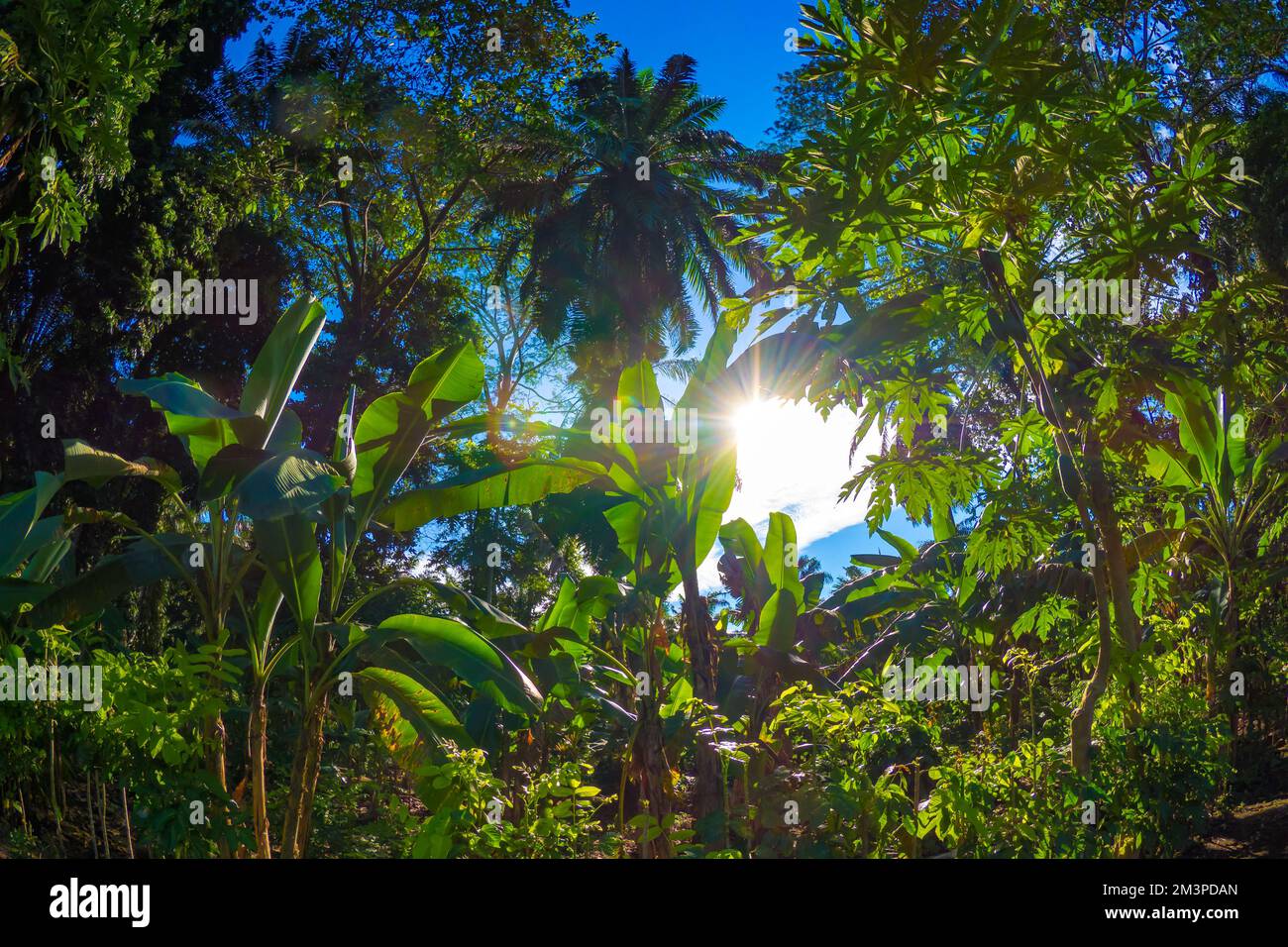 Wild Papua New Guinea - Tropical Paradise in one of the worlds most ...