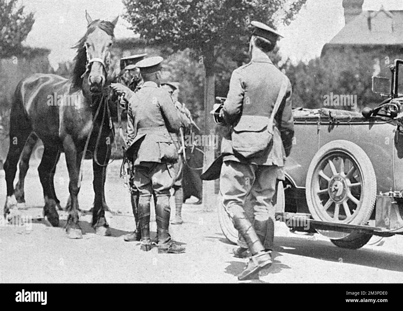 Soldiers commandeering horses at Bexhill, WW1 Stock Photo - Alamy