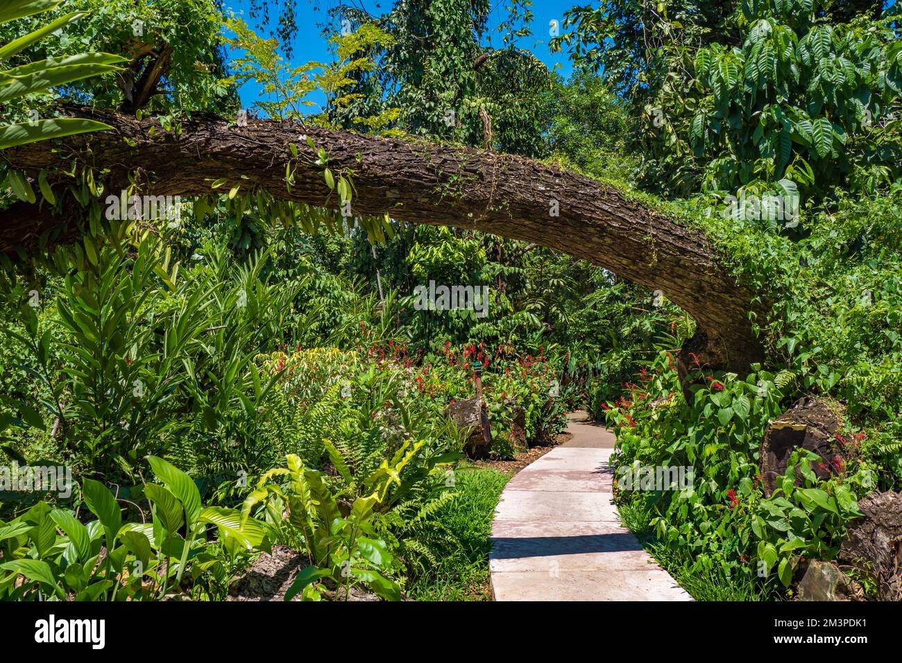 Wild Papua New Guinea - Tropical Paradise in one of the worlds most ...