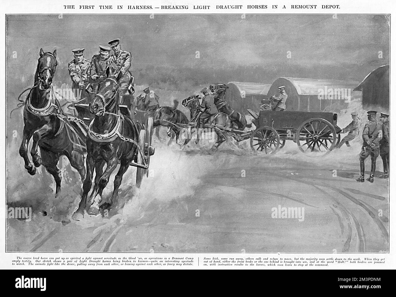 World war one remount depot hi-res stock photography and images - Alamy