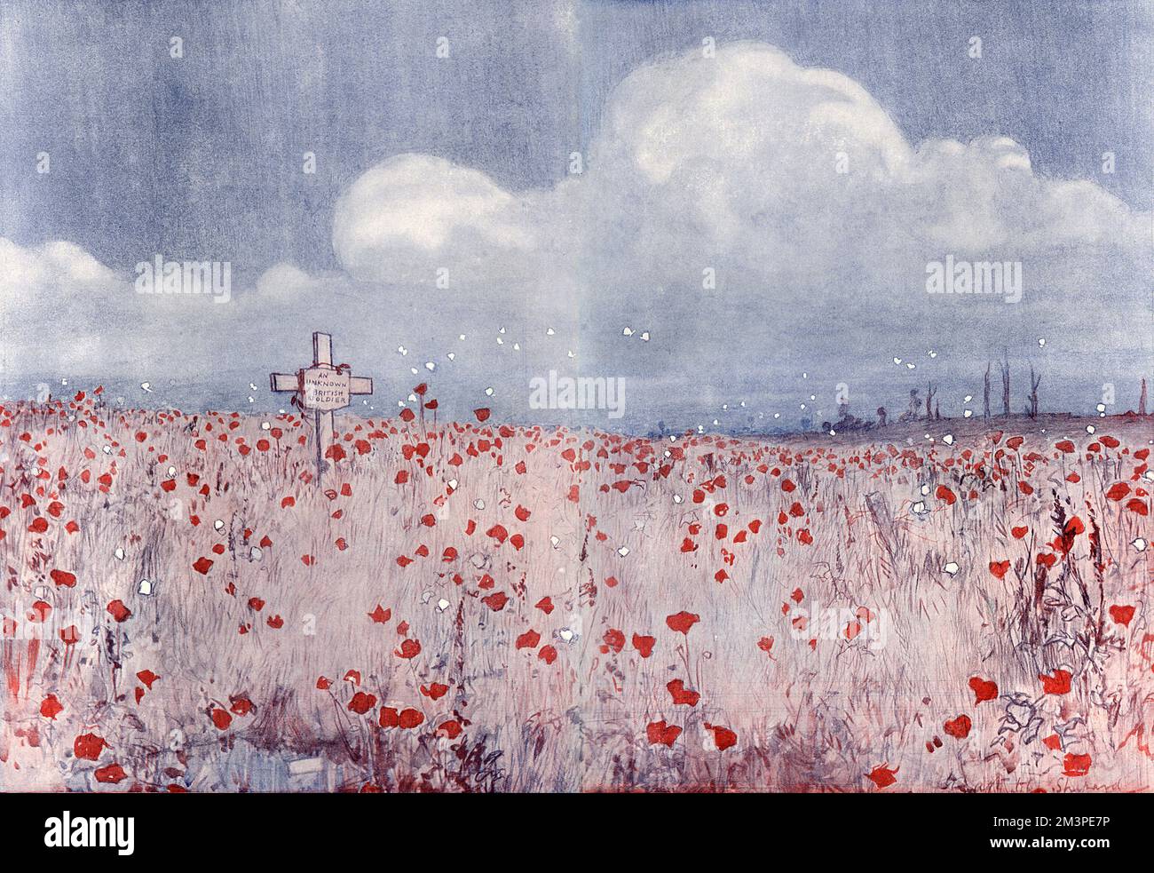 Ww1 soldier in poppy field hi-res stock photography and images - Alamy