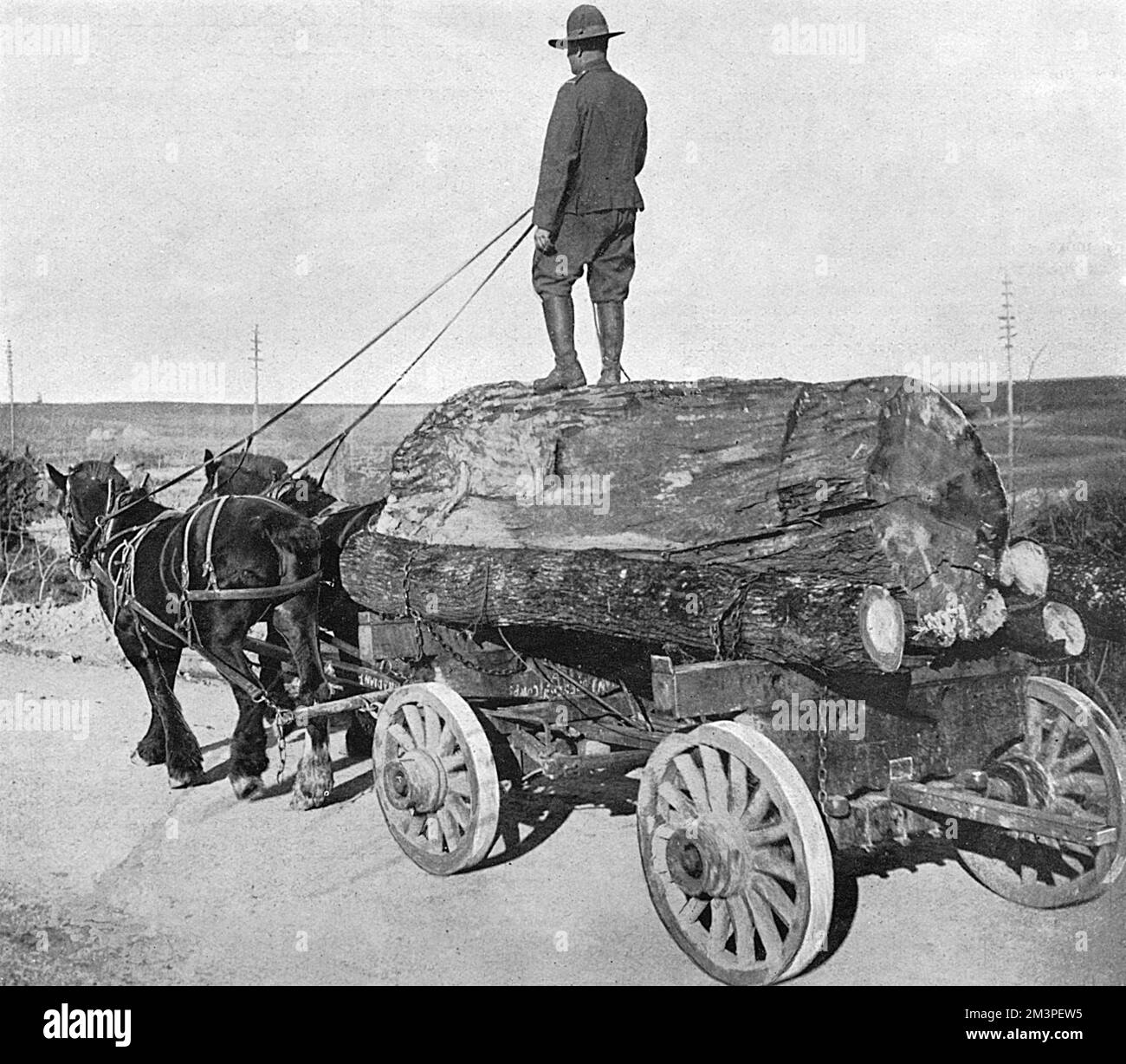 The american lumberman hi-res stock photography and images - Alamy