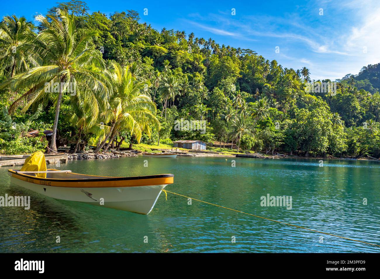 Lush pristine tropical island oasis in the Pacific Ocean - Jungle at ...