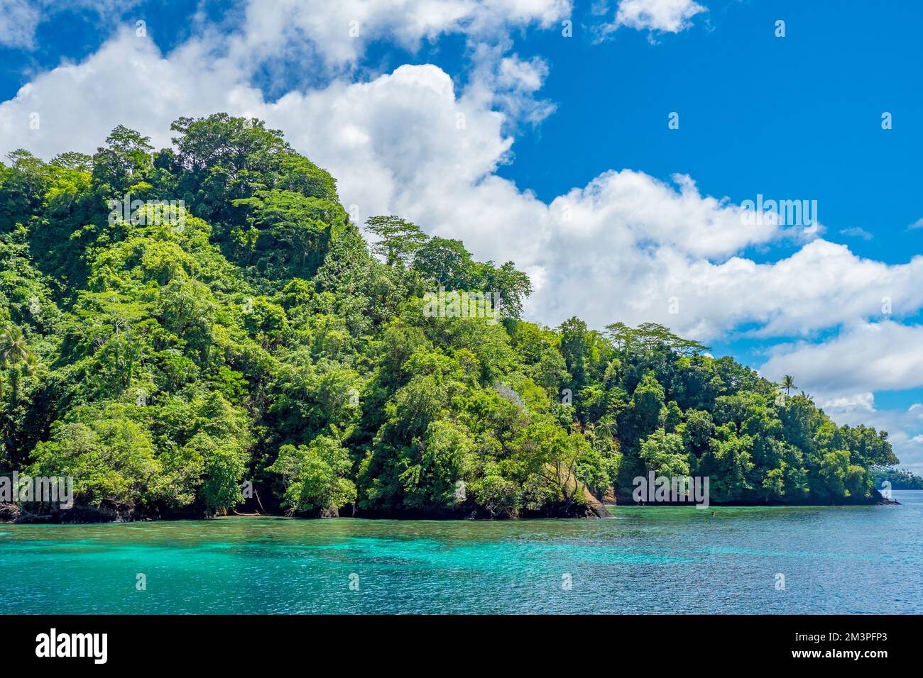 Lush pristine tropical island oasis in the Pacific Ocean - Jungle at ...