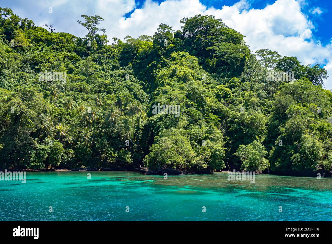 Lush pristine tropical island oasis in the Pacific Ocean - Jungle at ...