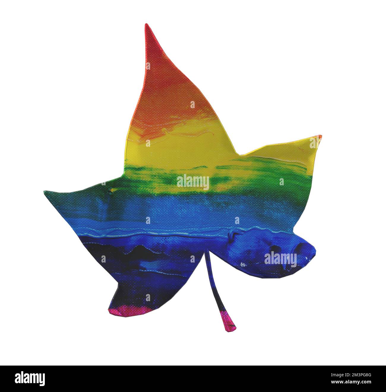 Rainbow color ivy leaf hi-res stock photography and images - Alamy