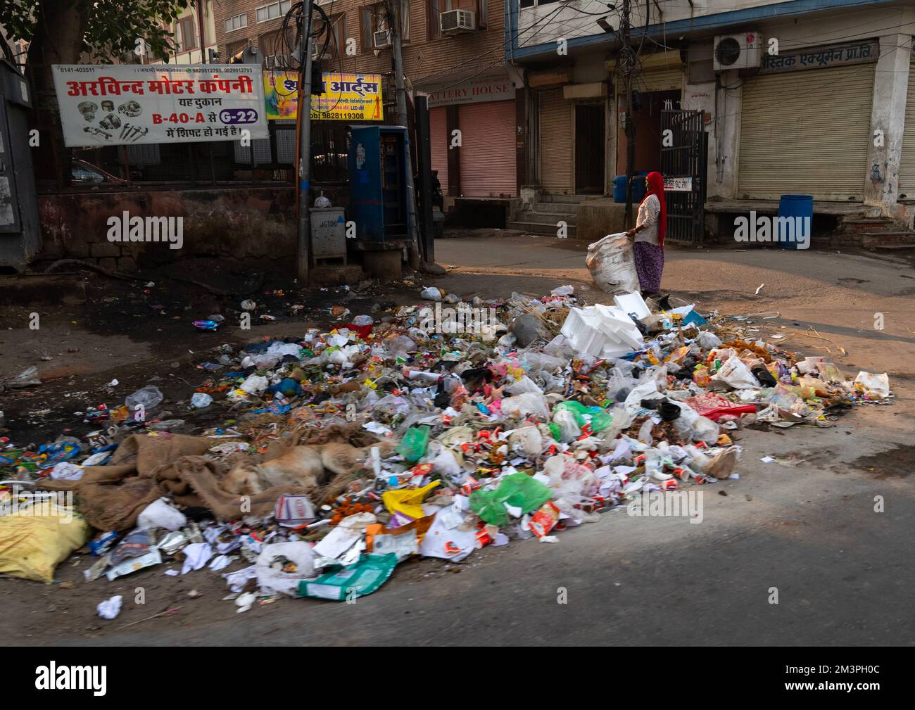 Indian woman collecting garbages in the street, Rajasthan, Jaipur ...