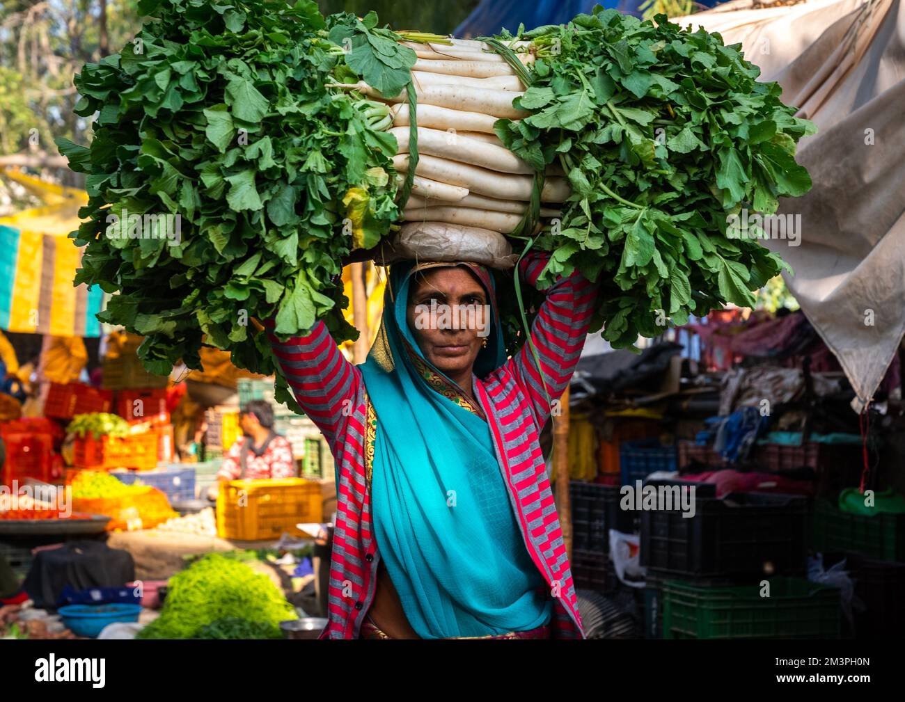 Indian woman carrying vegetables on the head, Rajasthan, Jaipur, India ...