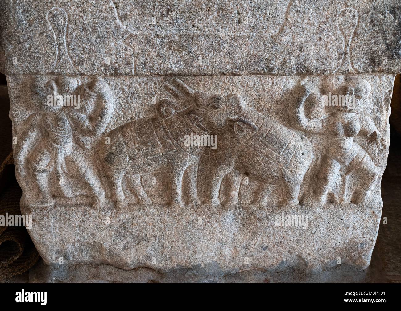 Elephants bas relief in Sri Ranganathaswamy Temple, Tamil Nadu ...