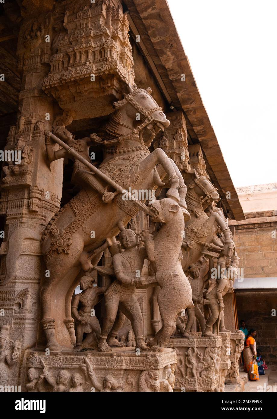 Horse rearing During A Fight In Front Of A White Gopuram in Sri ...