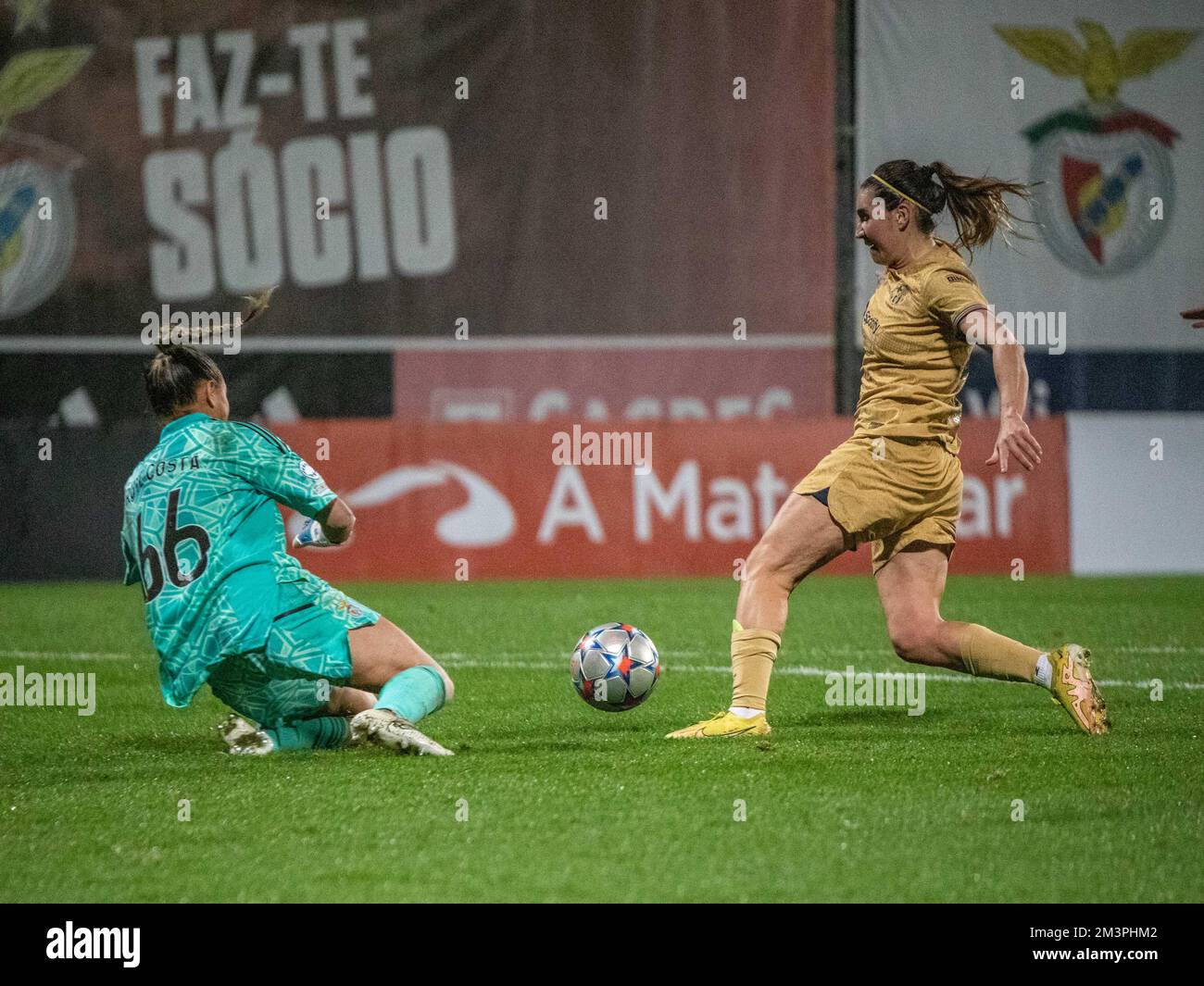 Benfica femenino hi-res stock photography and images - Alamy