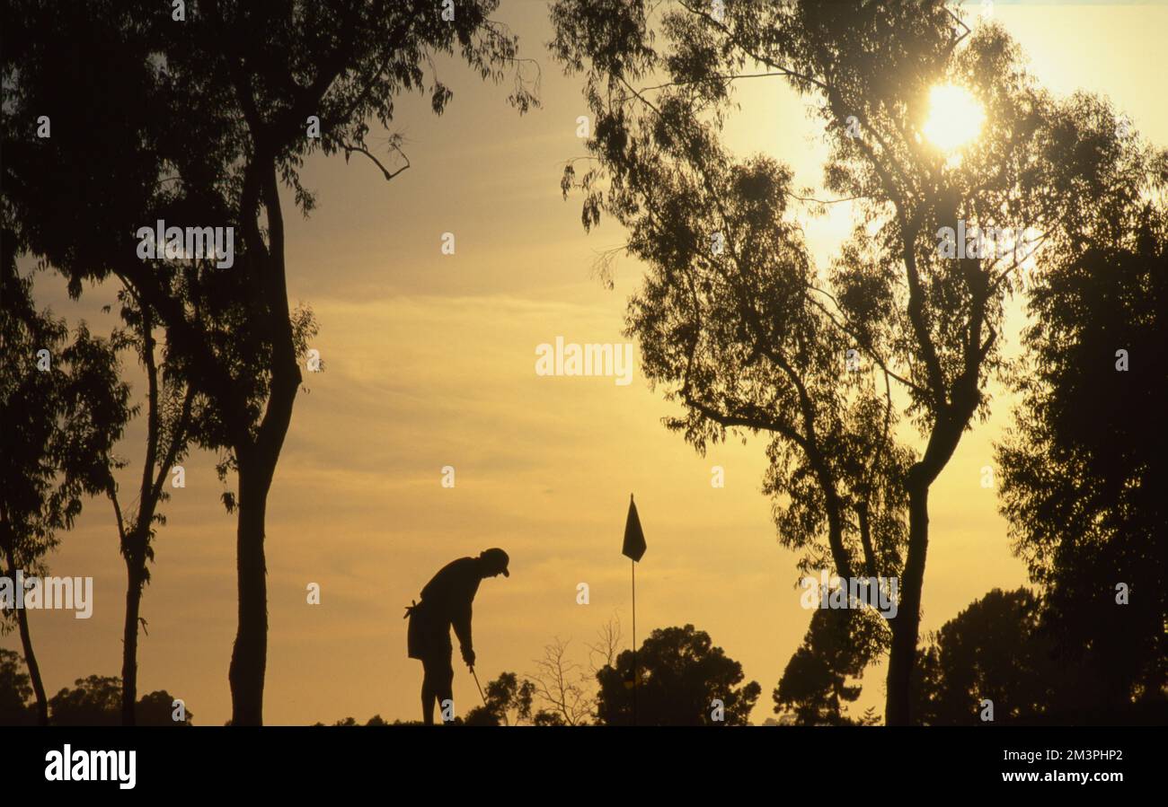 Silhouette of person bending over to putt on the green with setting sun ...
