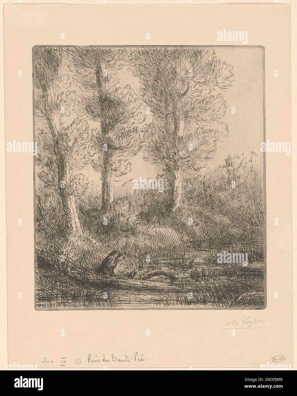 Rive du Saint-Pré , Rivers, Trees, Alphonse Legros (1837-1911 Stock ...