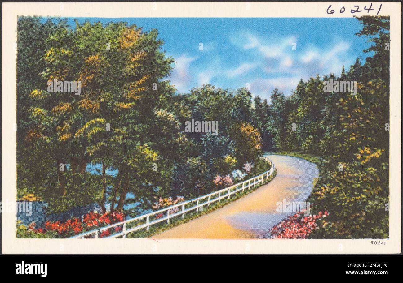 A river by a road, trees and guard rail in between , Rivers, Trees ...