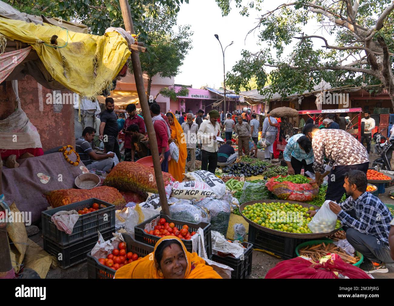 Vegetable Market, Rajasthan, Jaipur, India Stock Photo - Alamy