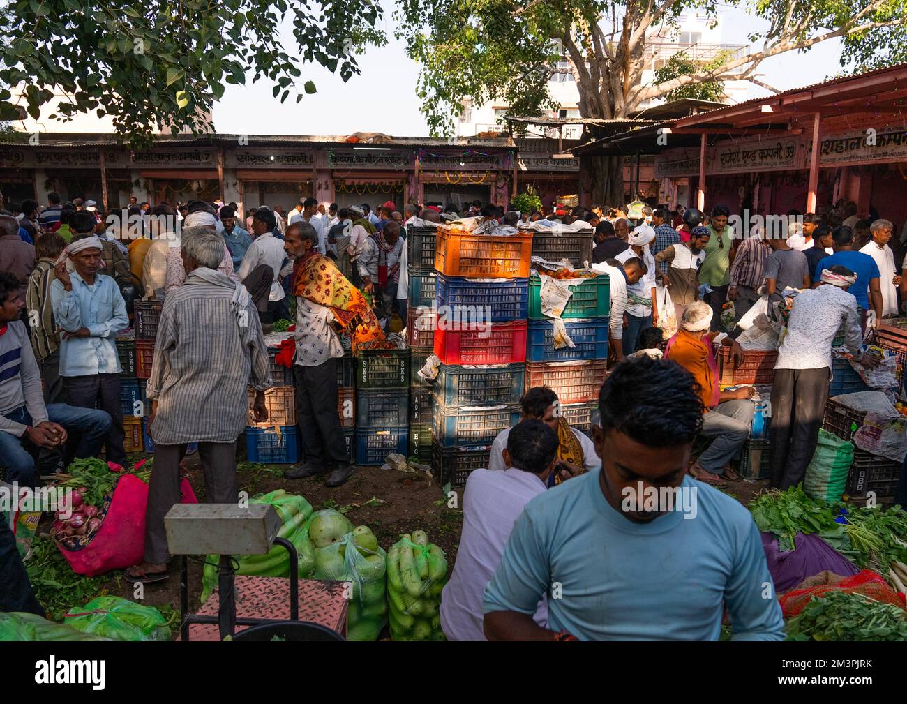 Crowdy vegetable Market, Rajasthan, Jaipur, India Stock Photo - Alamy