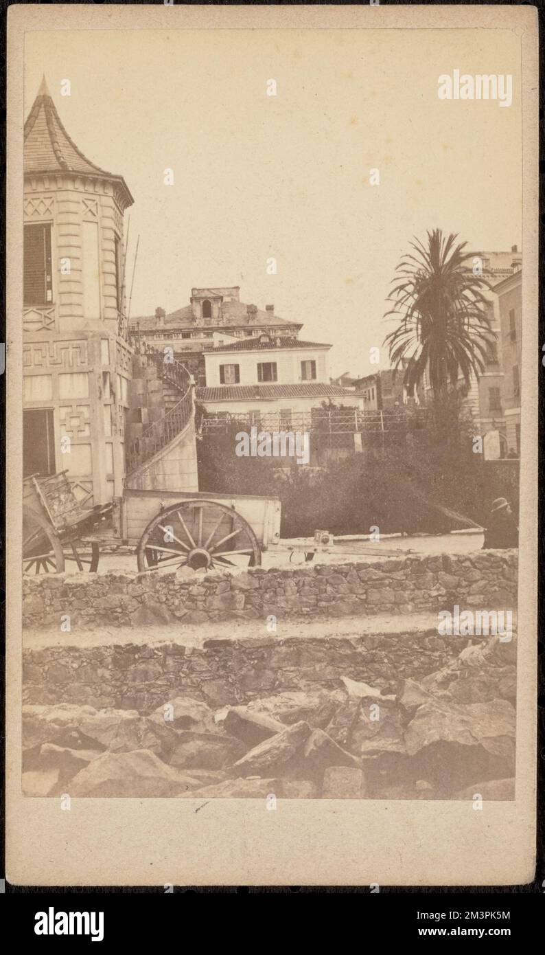 Riviera di Ponente, San Remo, I Palmizii N. 4 , Carts & wagons, Streets ...