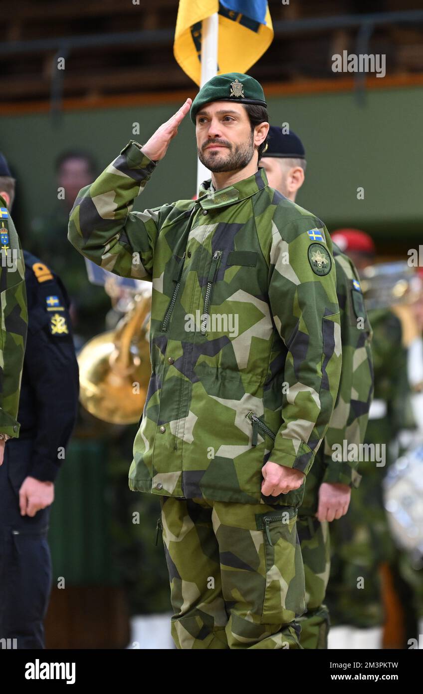 Prince Carl Philip attends a medal ceremony for the military unit Mali ...