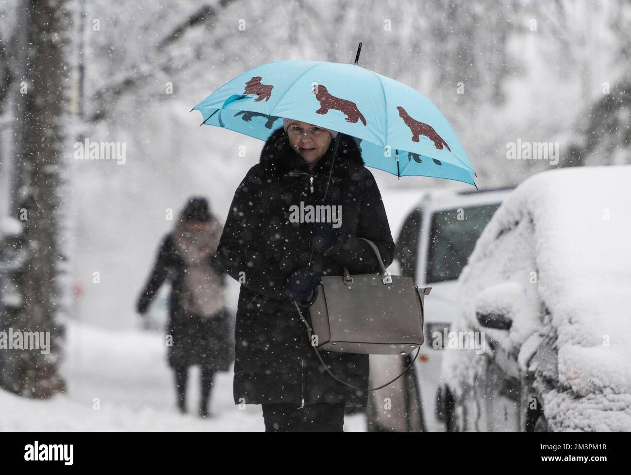 A pedestrian uses their umbrella to shield themselves from the ...