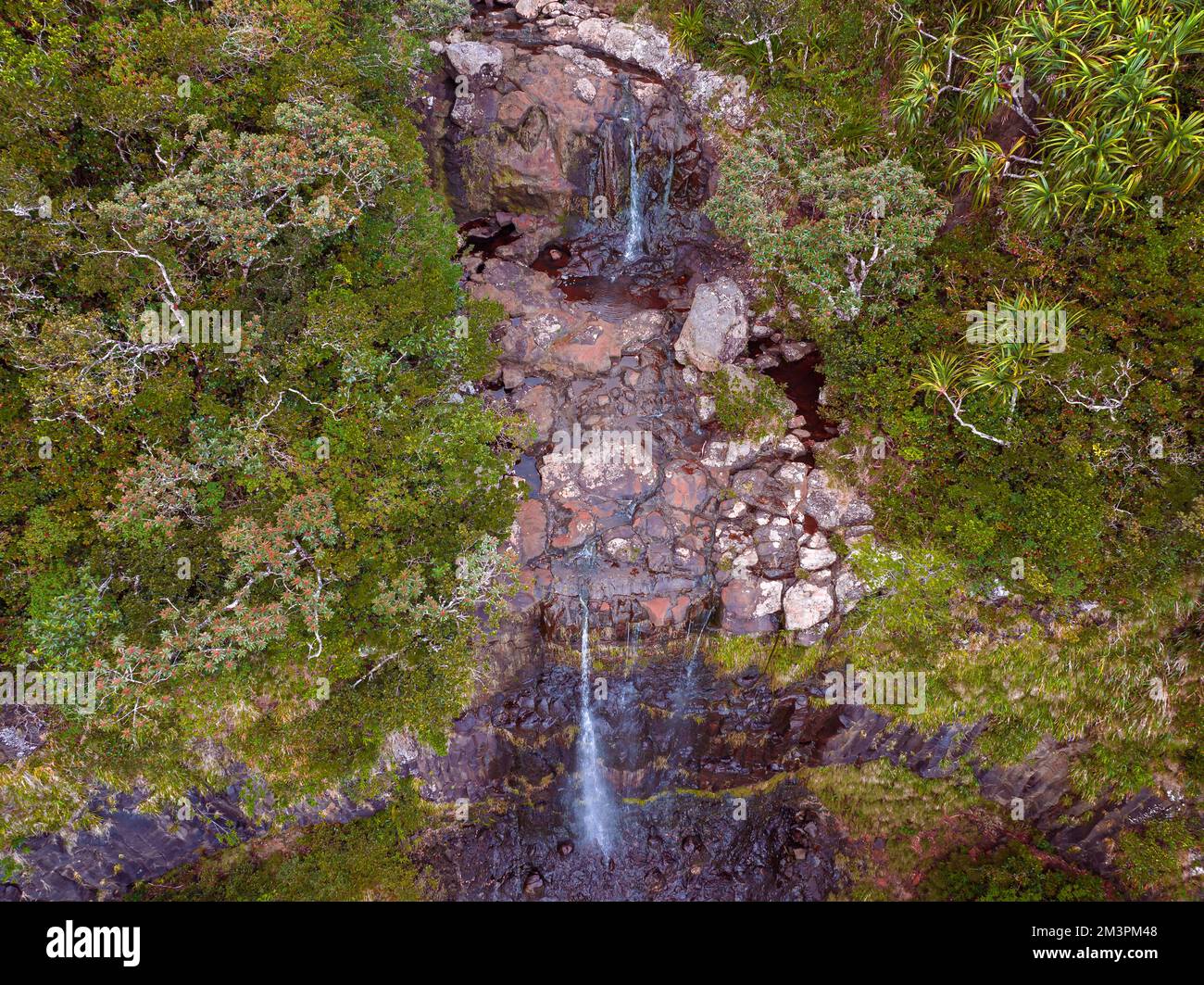 The Alexandra waterfalls is a part of black river gorges national park ...