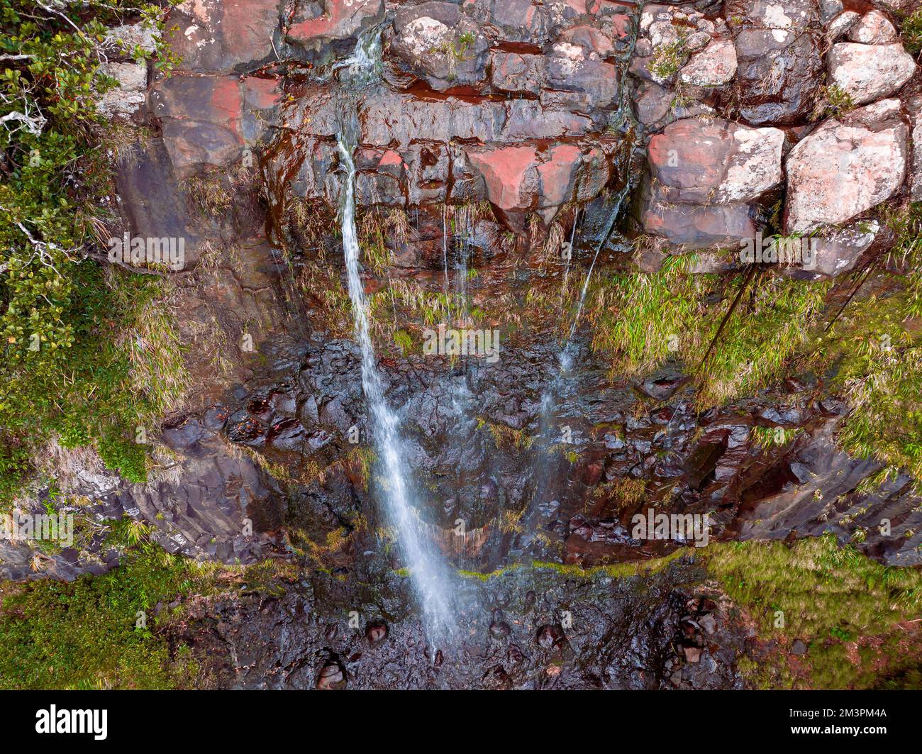 Alexandra mauritius hi-res stock photography and images - Alamy