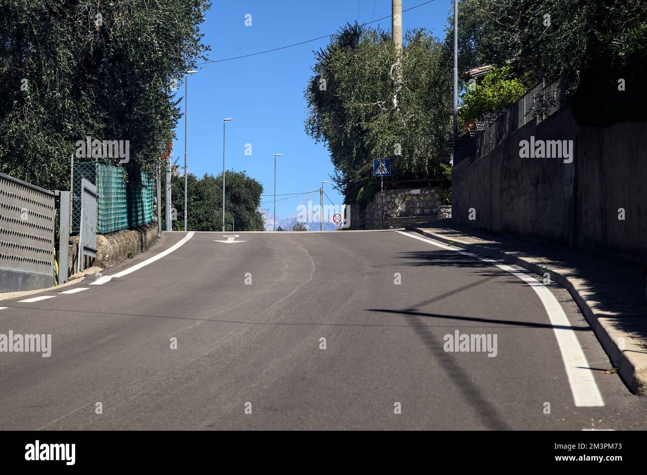 Main road bordered by olive tree plantations in late summer Stock Photo ...