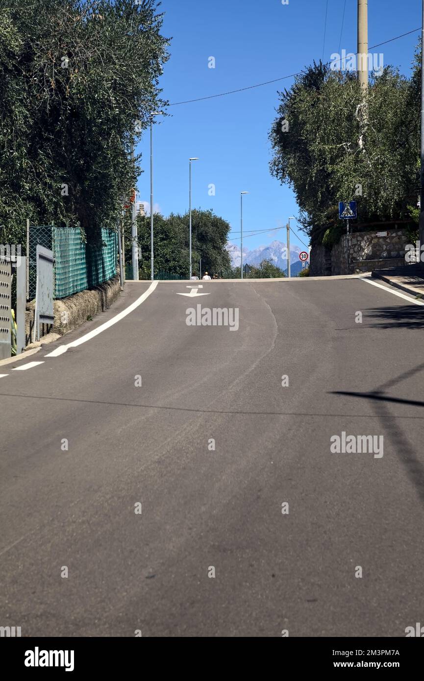 Main road bordered by olive tree plantations in late summer Stock Photo ...