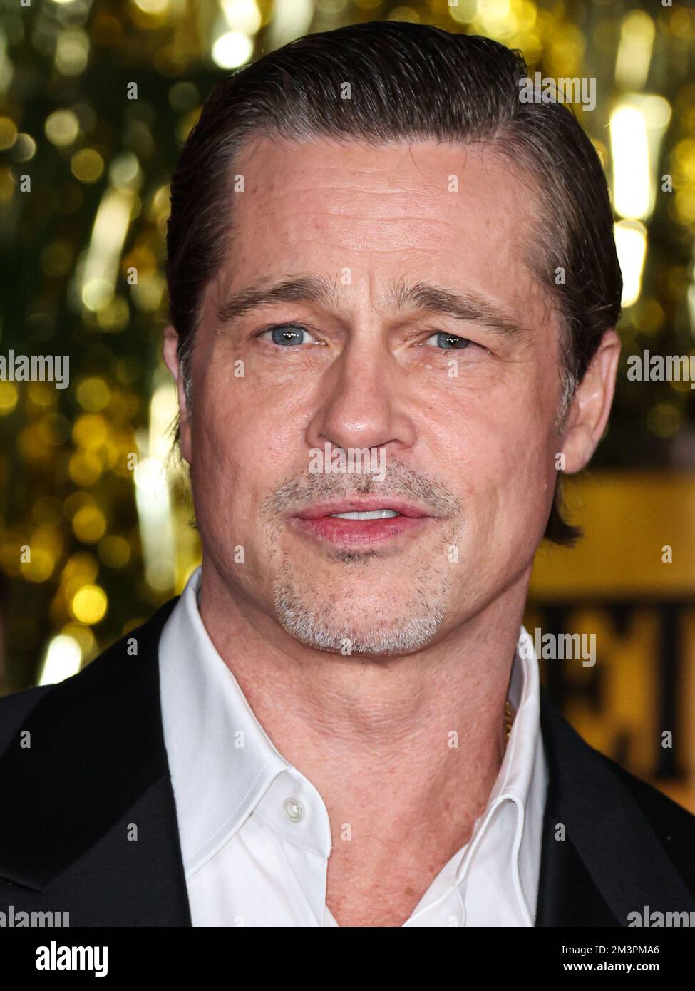 LOS ANGELES, CALIFORNIA, USA - DECEMBER 15: American actor Brad Pitt ...