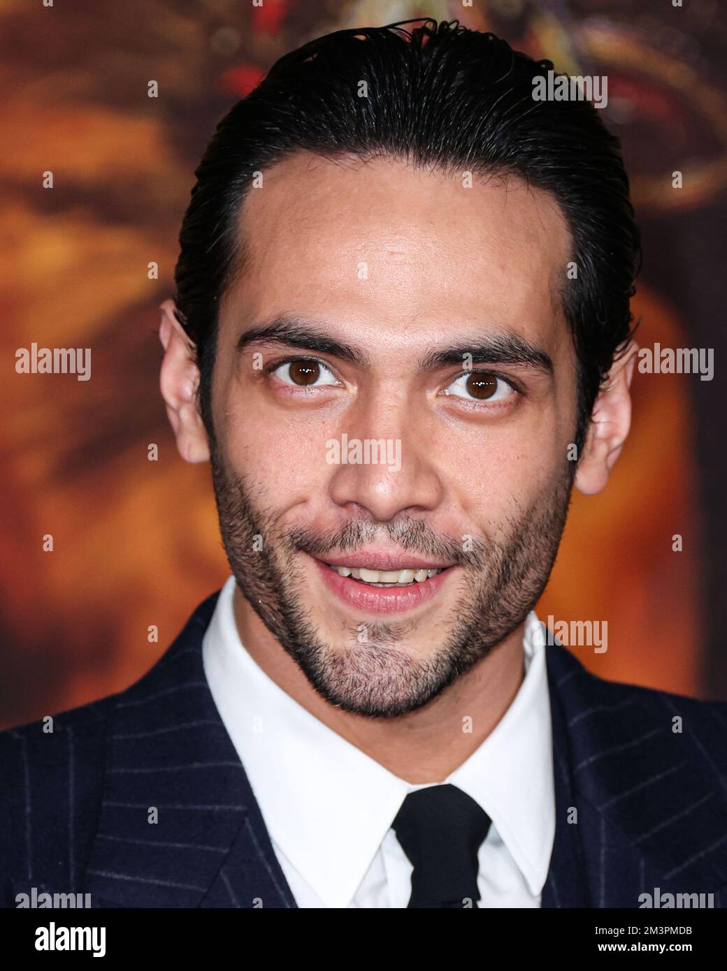 LOS ANGELES, CALIFORNIA, USA - DECEMBER 15: Mexican actor Diego Calva ...