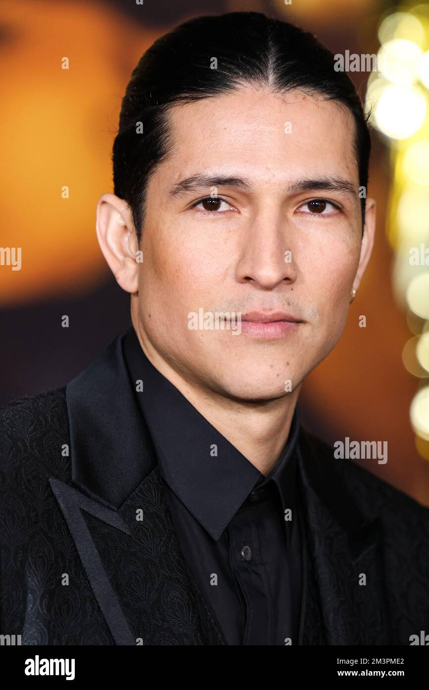 LOS ANGELES, CALIFORNIA, USA - DECEMBER 15: American actor Danny ...