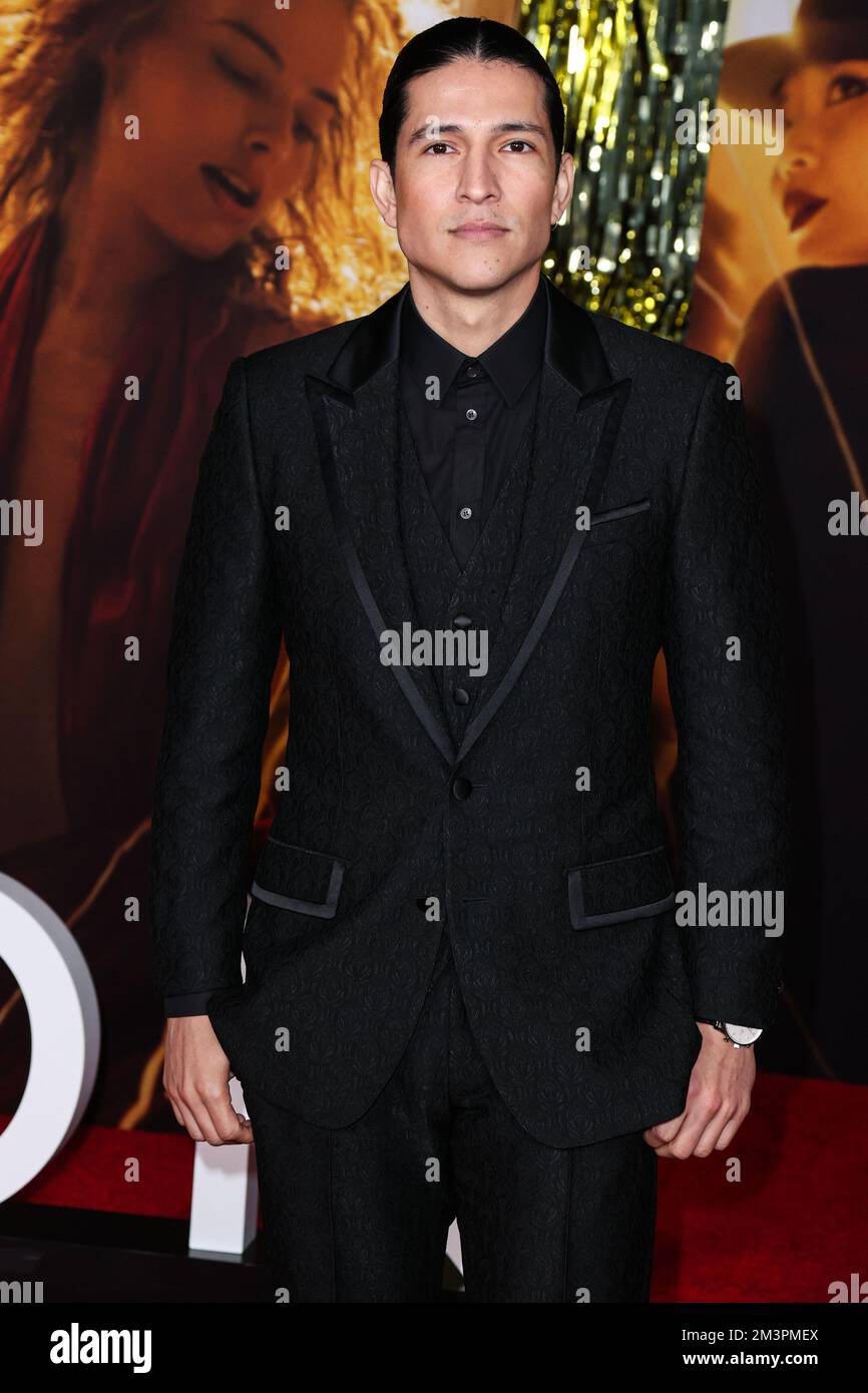 LOS ANGELES, CALIFORNIA, USA - DECEMBER 15: American actor Danny ...