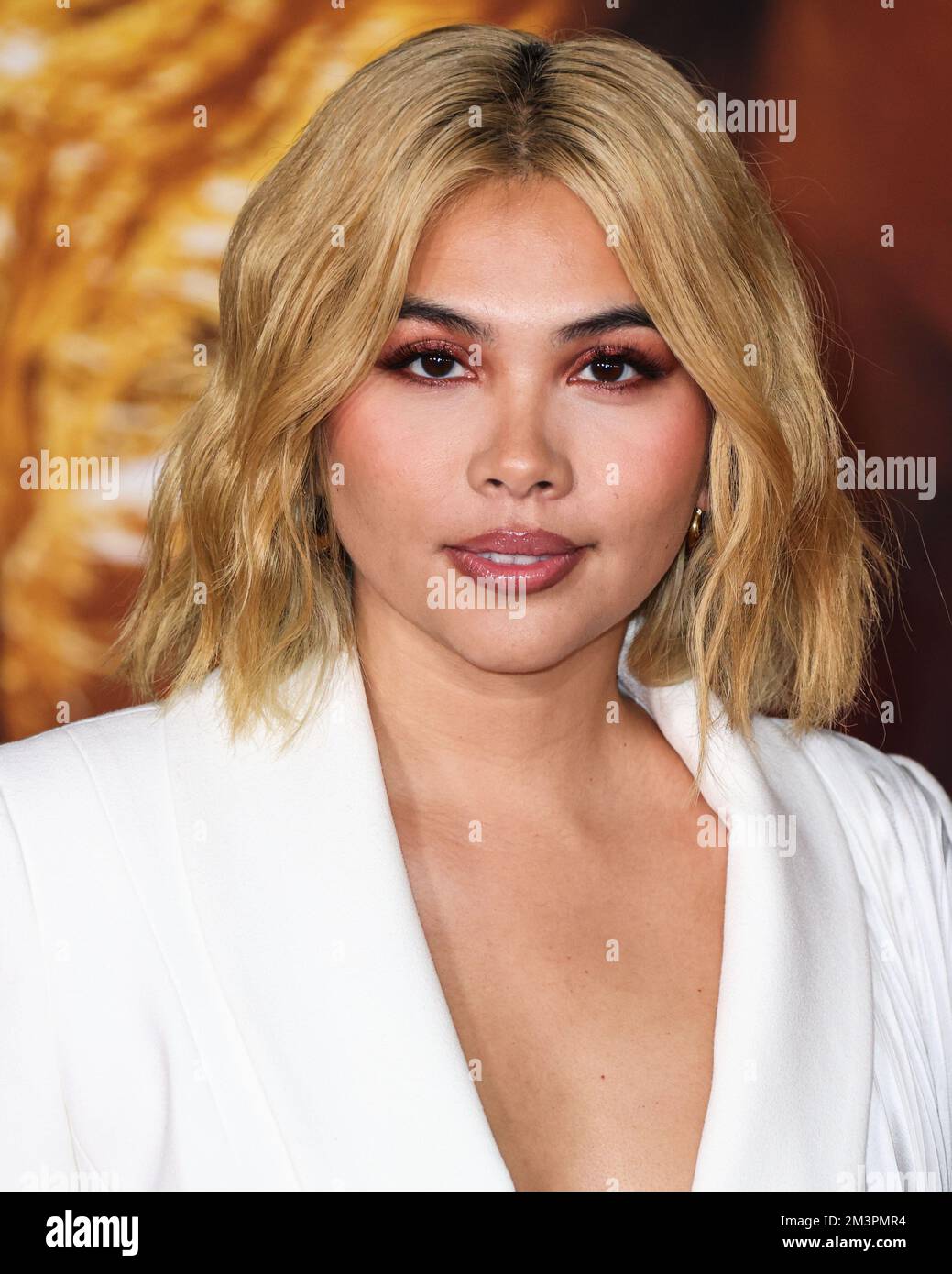 LOS ANGELES, CALIFORNIA, USA - DECEMBER 15: American singer, dancer and ...