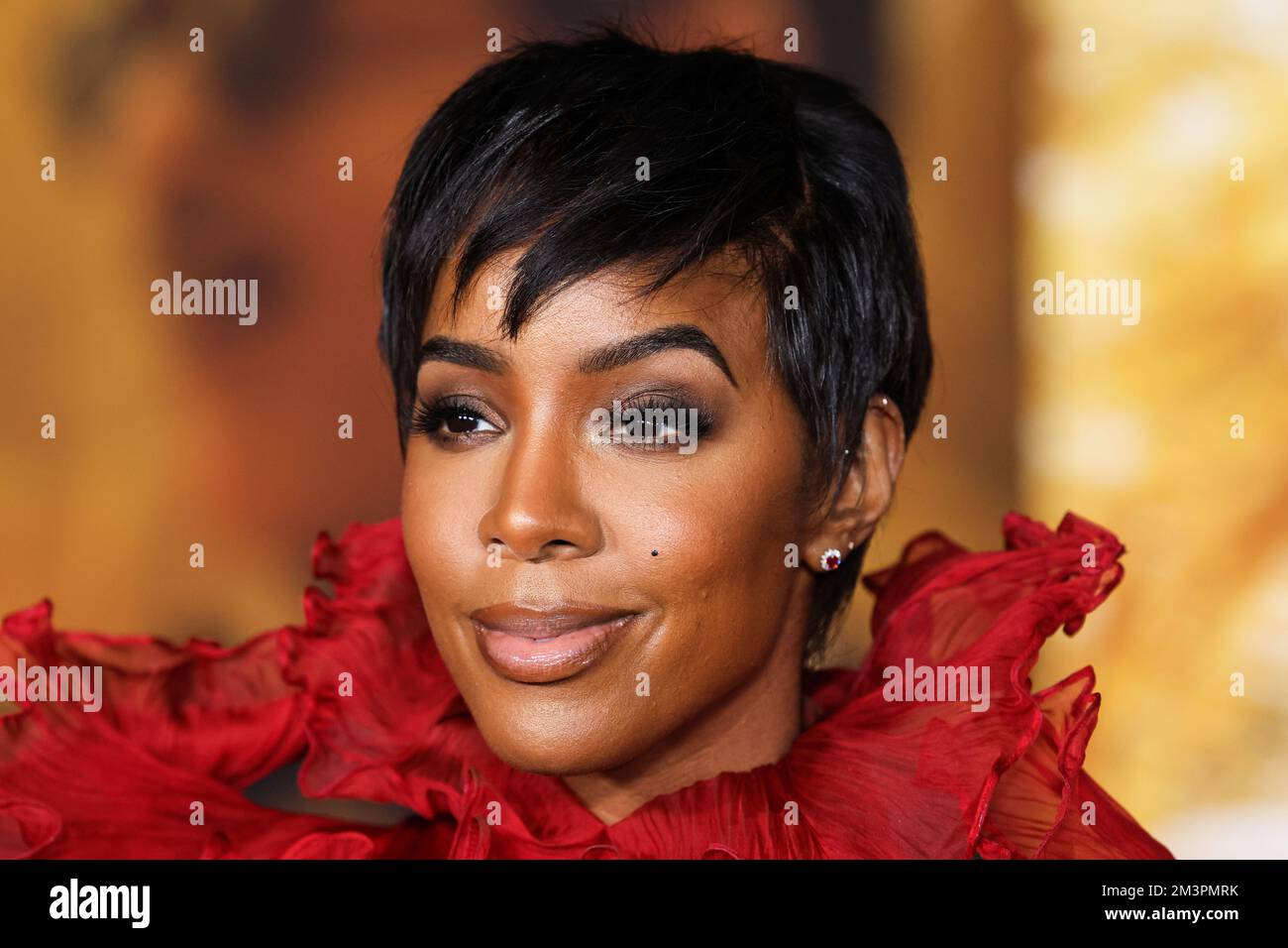 LOS ANGELES, CALIFORNIA, USA - DECEMBER 15: American singer, actress ...