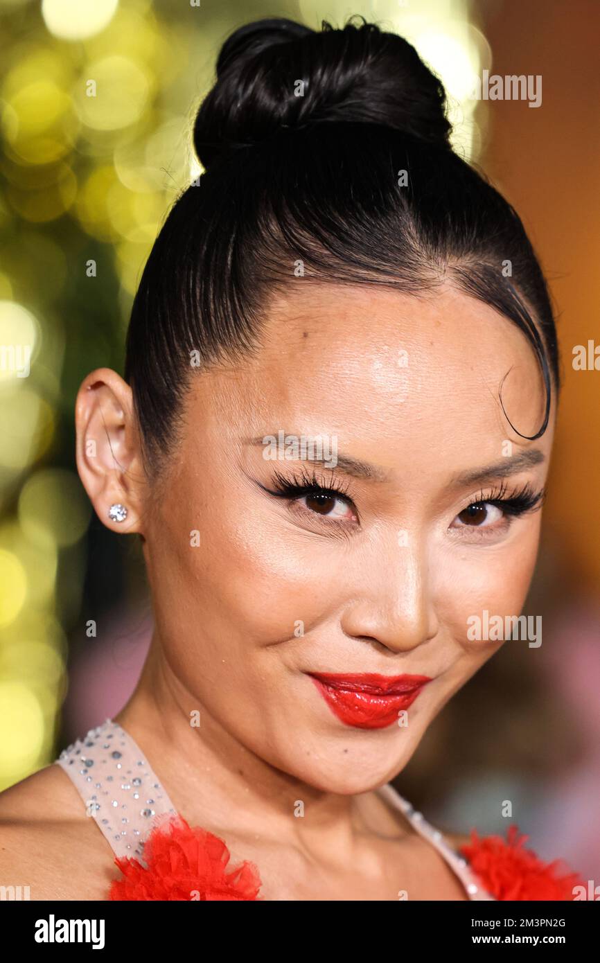 LOS ANGELES, CALIFORNIA, USA - DECEMBER 15: American actress Li Jun Li ...