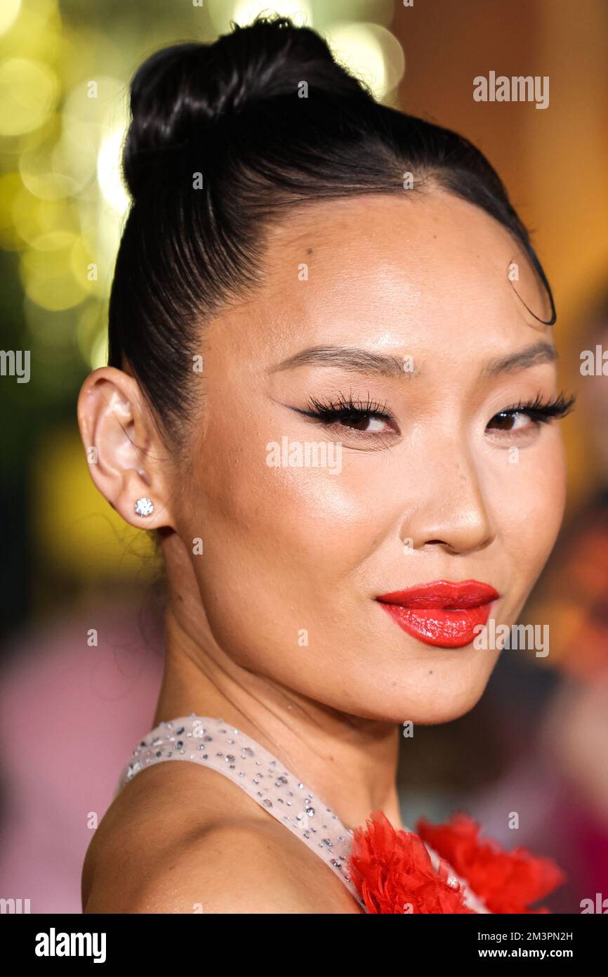 LOS ANGELES, CALIFORNIA, USA - DECEMBER 15: American actress Li Jun Li ...