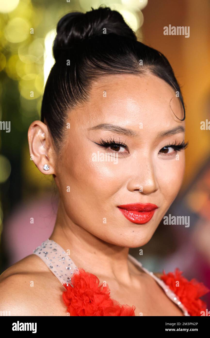 LOS ANGELES, CALIFORNIA, USA - DECEMBER 15: American actress Li Jun Li ...