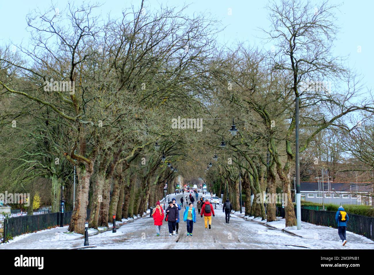 Scotland snow tree hi-res stock photography and images - Alamy