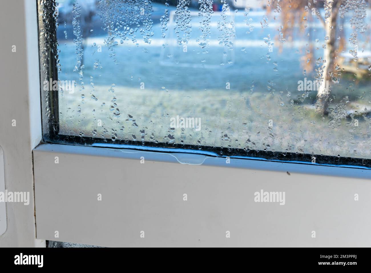 Drops condensate black mold hi-res stock photography and images - Alamy