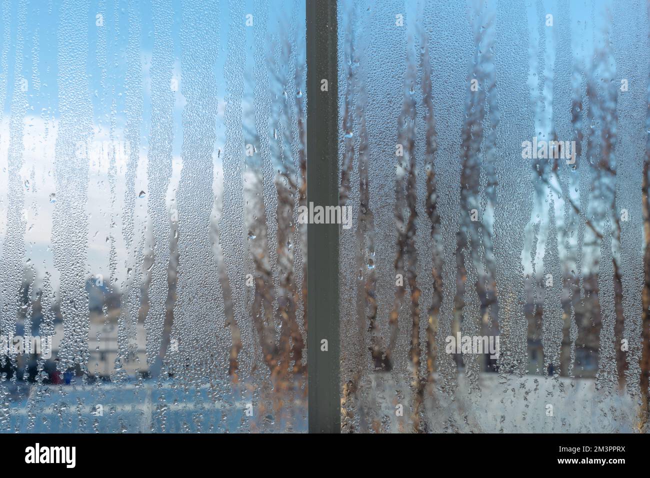 Heavily dewy or misty window during the frosty season Stock Photo - Alamy