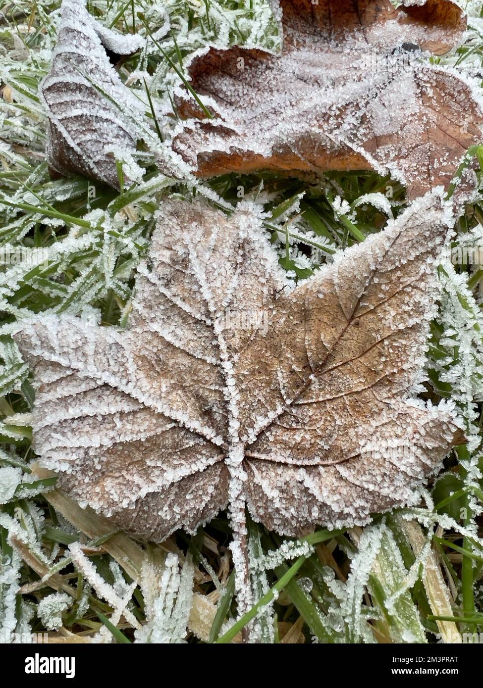 Frost effect hi-res stock photography and images - Alamy
