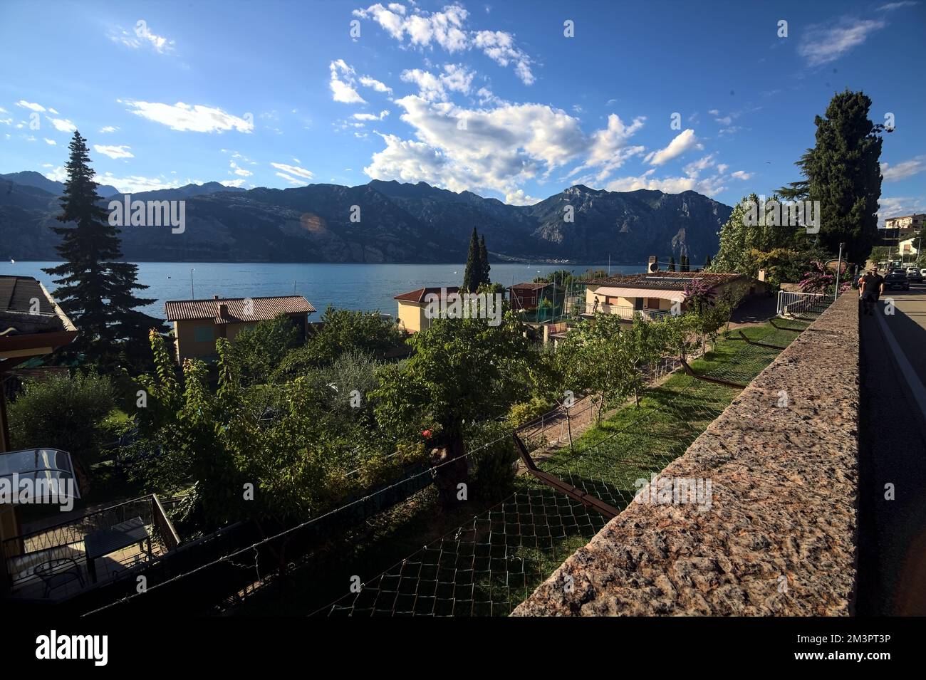Mountain ridge next to a lake framed by trees and oleander plants in ...