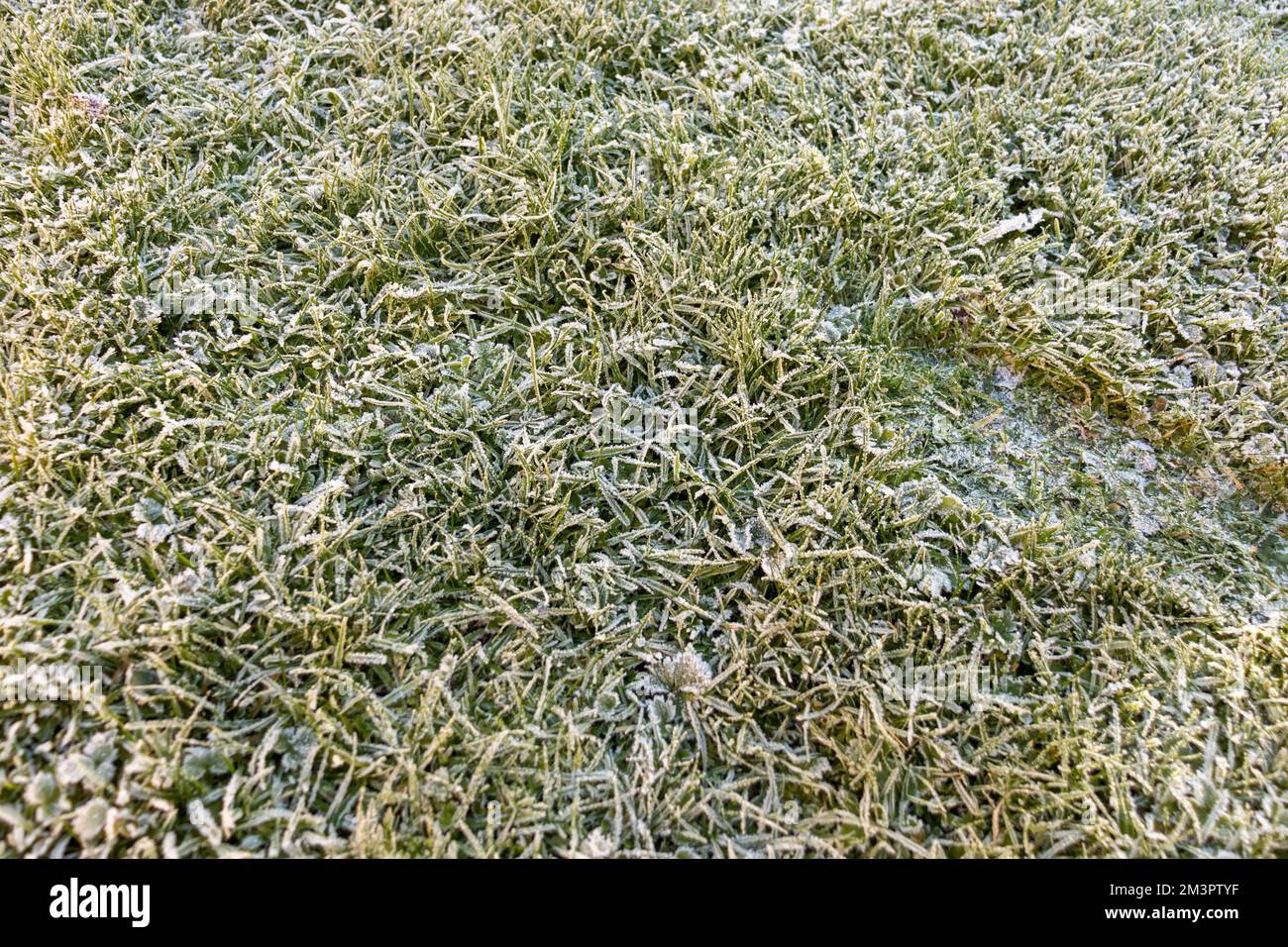 Weather ireland frost hi-res stock photography and images - Alamy