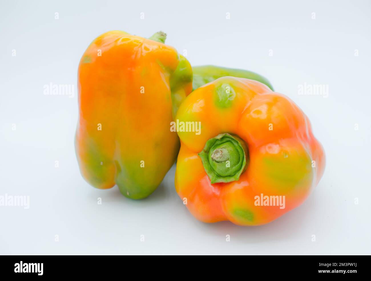 Multi colored Bell Peppers on a white backdrop Stock Photo - Alamy