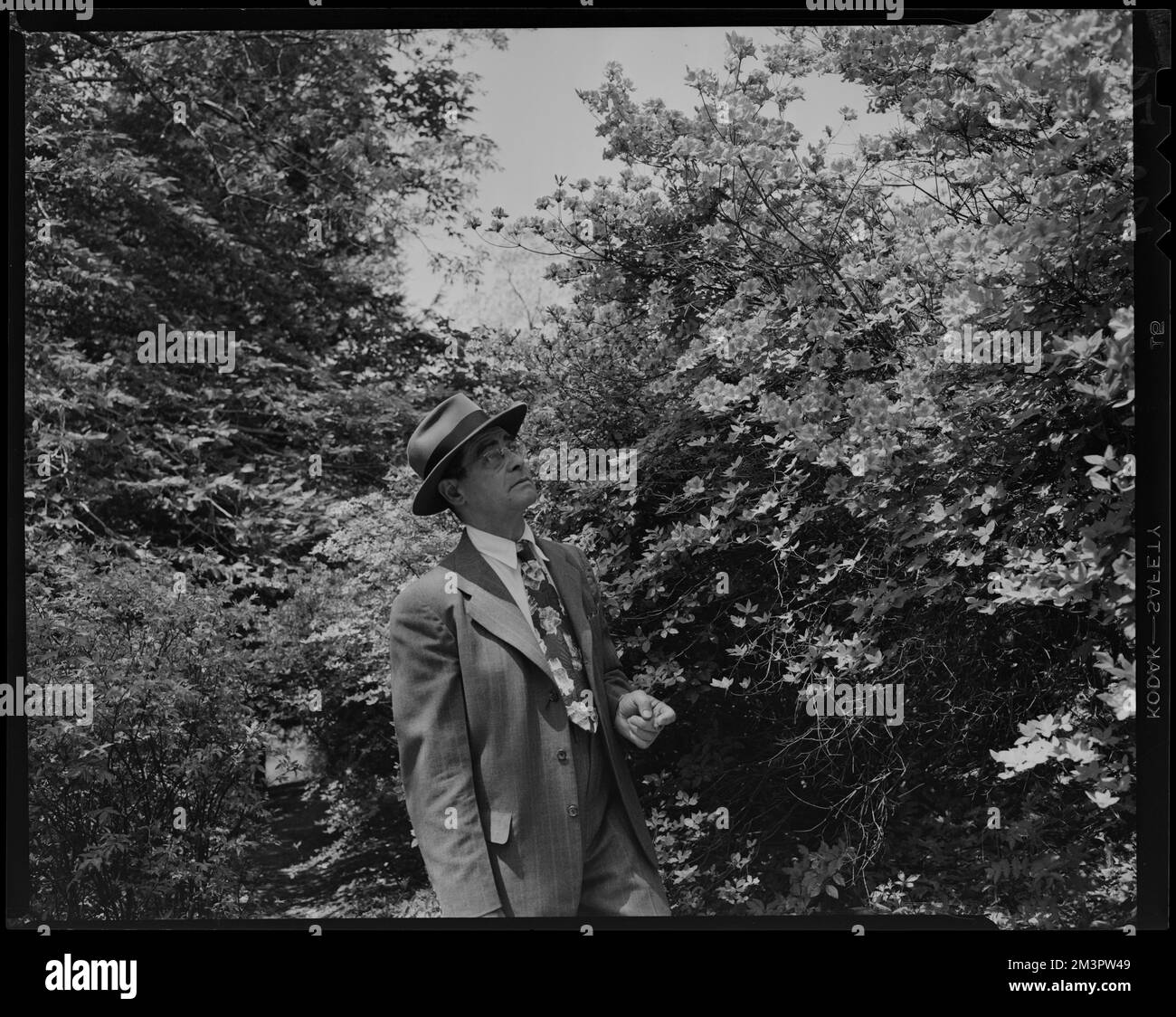 Robert 'Bob' Ristuccia at Arnold Arboretum , Trees, Flowers, Botanical ...