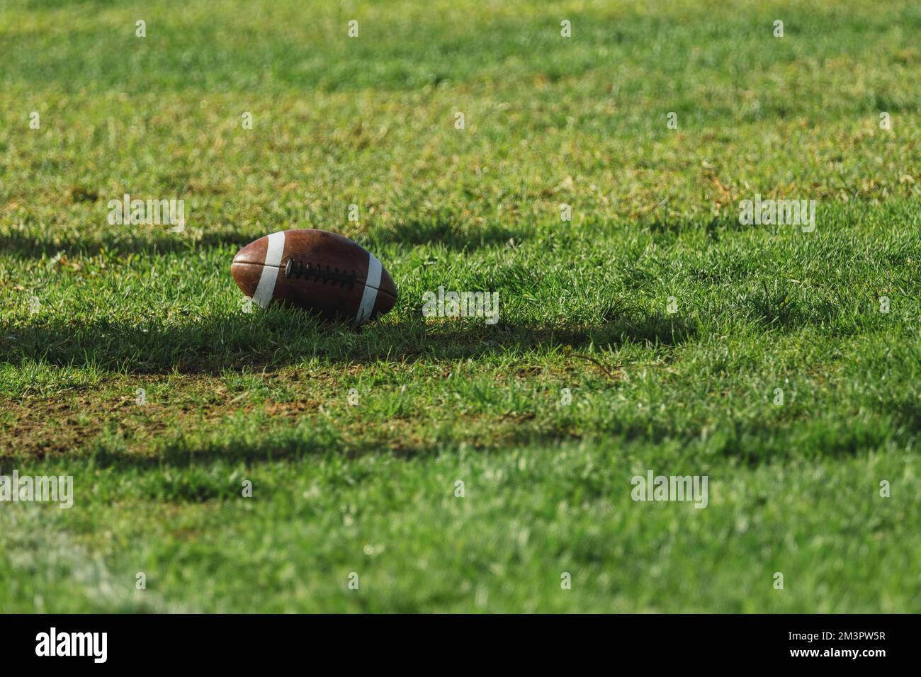 A Gridiron ball, also called a pigskin, on the green grass Stock Photo ...