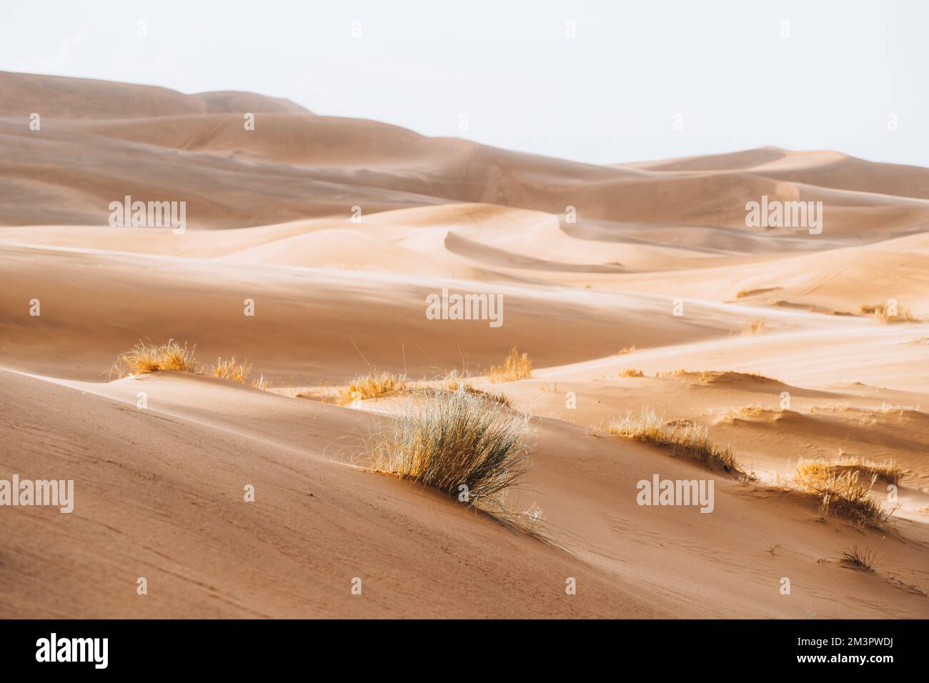 Sand texture in Morocco Sahara Merzouga Desert landscape oriented Stock ...