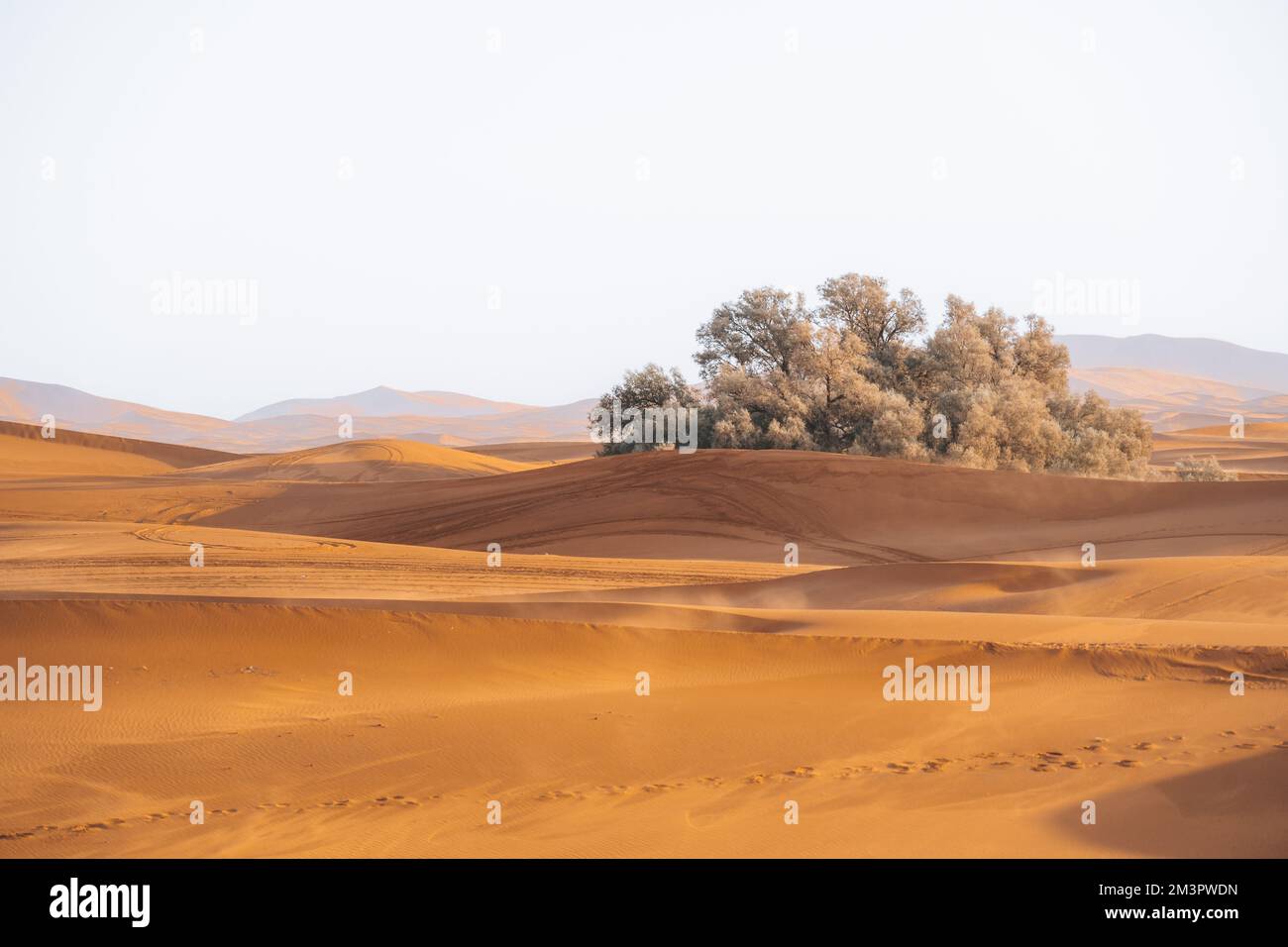 Sand texture in Morocco Sahara Merzouga Desert landscape oriented Stock ...