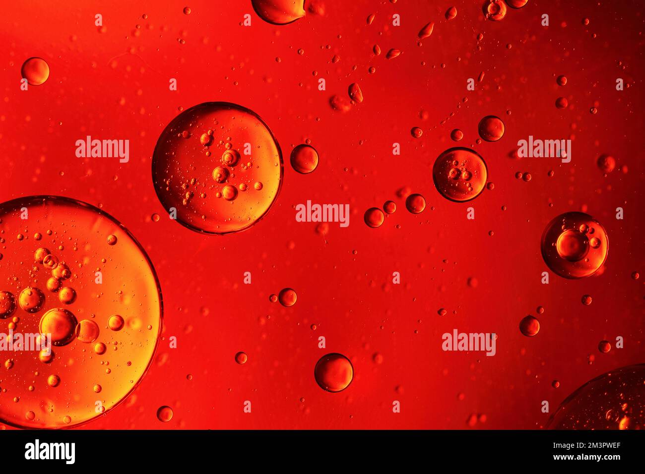 golden oil blisters on red background Stock Photo - Alamy