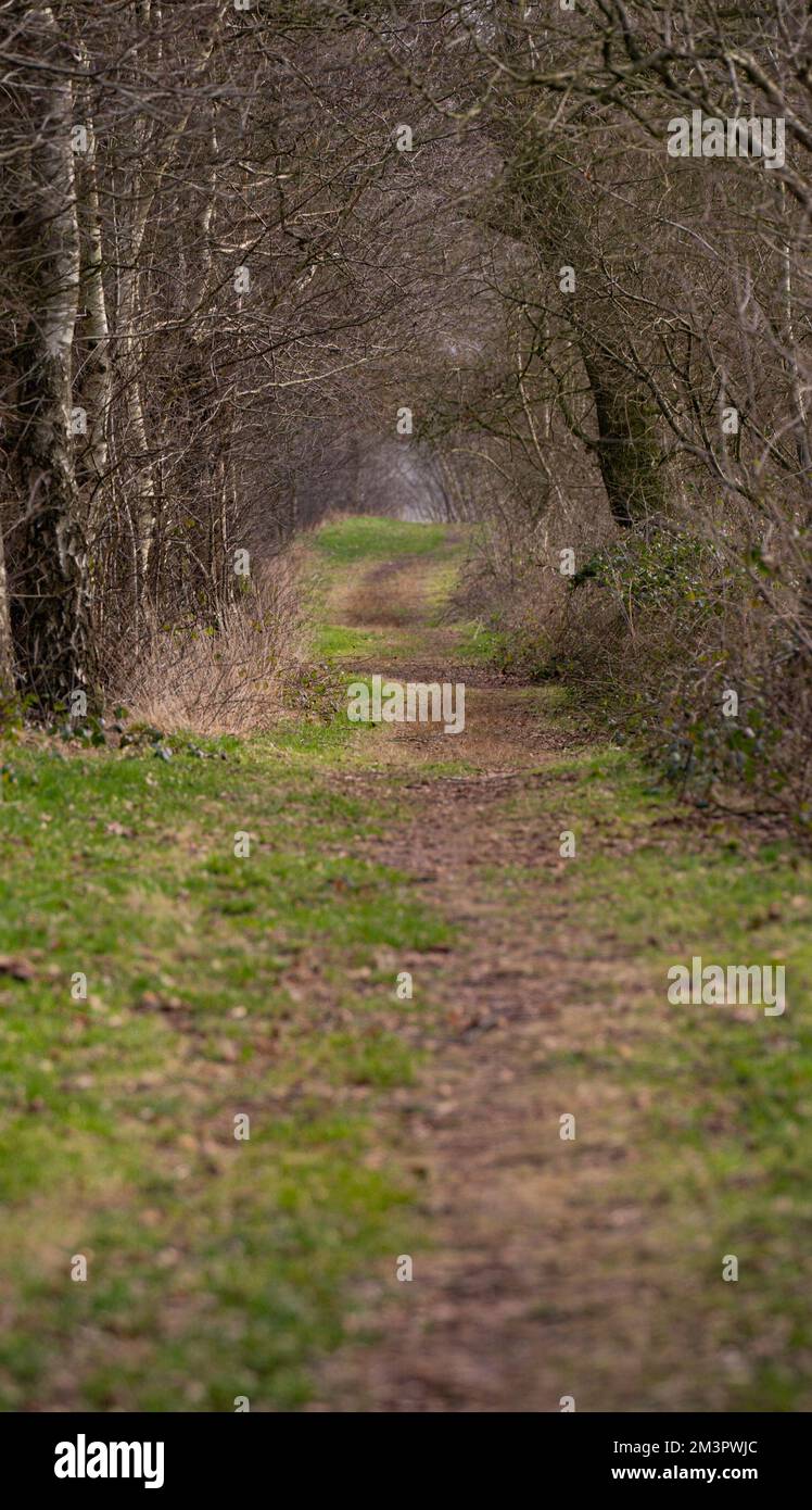 Vertical shot pathway through hi-res stock photography and images - Alamy